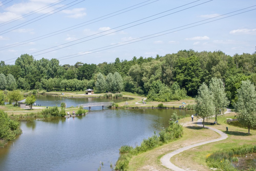 Herfstwandeling langs de Roode Beek - Activiteiten - Regio Limburg ...
